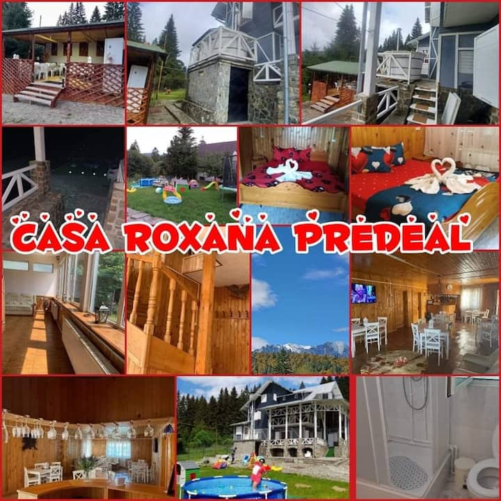 Casa Roxana - Predeal