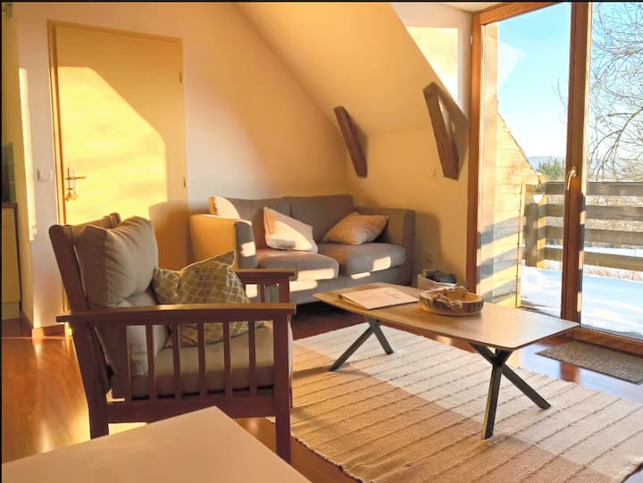 Vakantiewoning In Alle Rust - La Bourboule