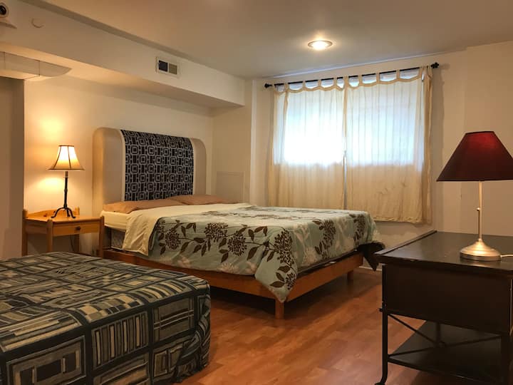 Spacious Bedroom In Rogers Park - Evanston, IL