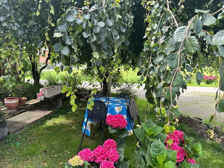 Charmante Kleine Wohnung Im Herzen Vom Tessin - Bellinzone
