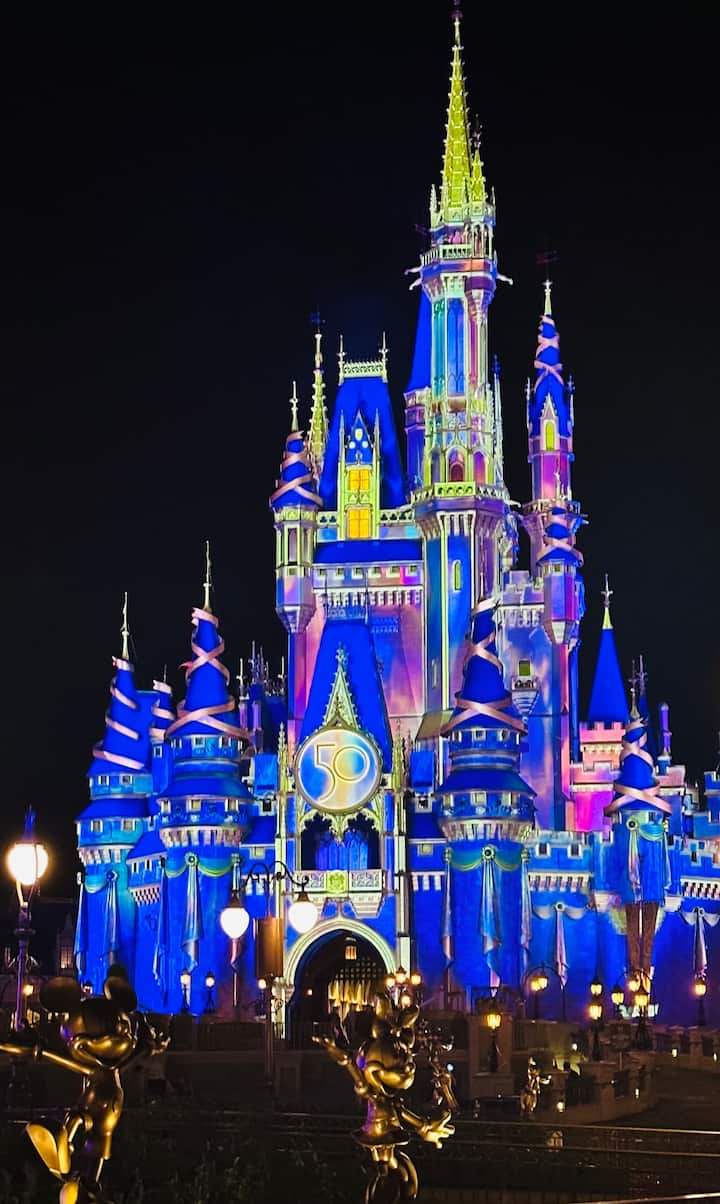 Fun! Tiny Home-disney/universal! - Kissimmee