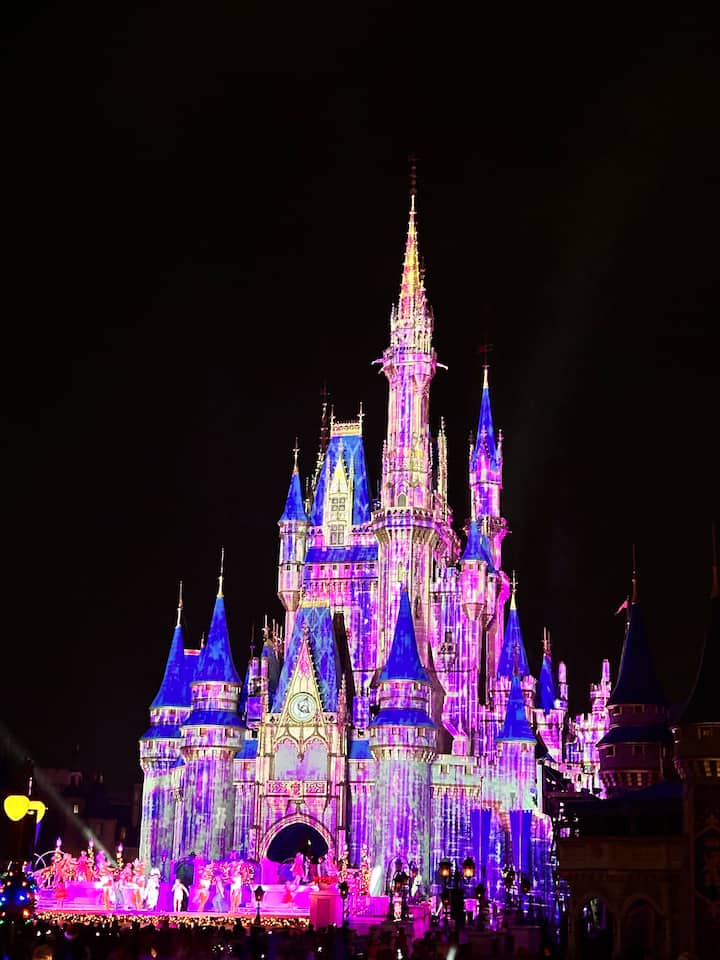 Fun! Tiny Home-disney/universal! - Kissimmee, FL