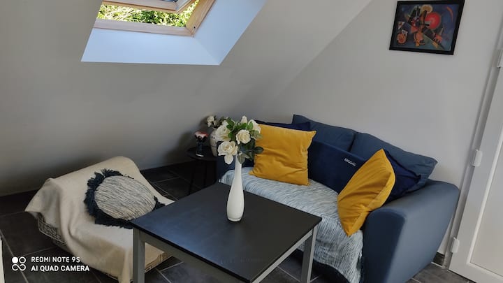 Charmant Appartement Central Proche  Mer - Pleurtuit
