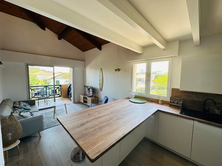 Mimizan Plage - Mimizan-Plage