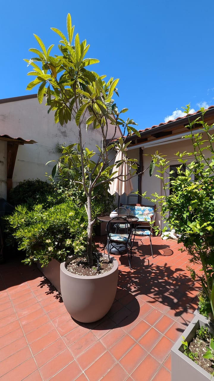 Le Rose Appartamento Verbania - Ghiffa