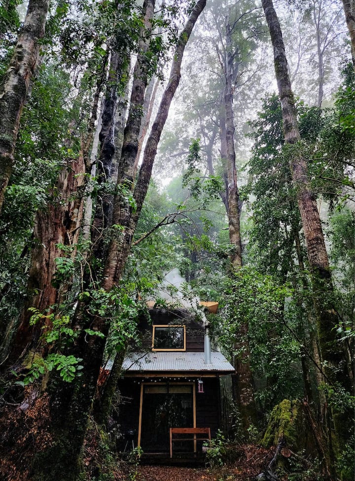 Cabaña Privada Con Internet Satelital - Los Ríos