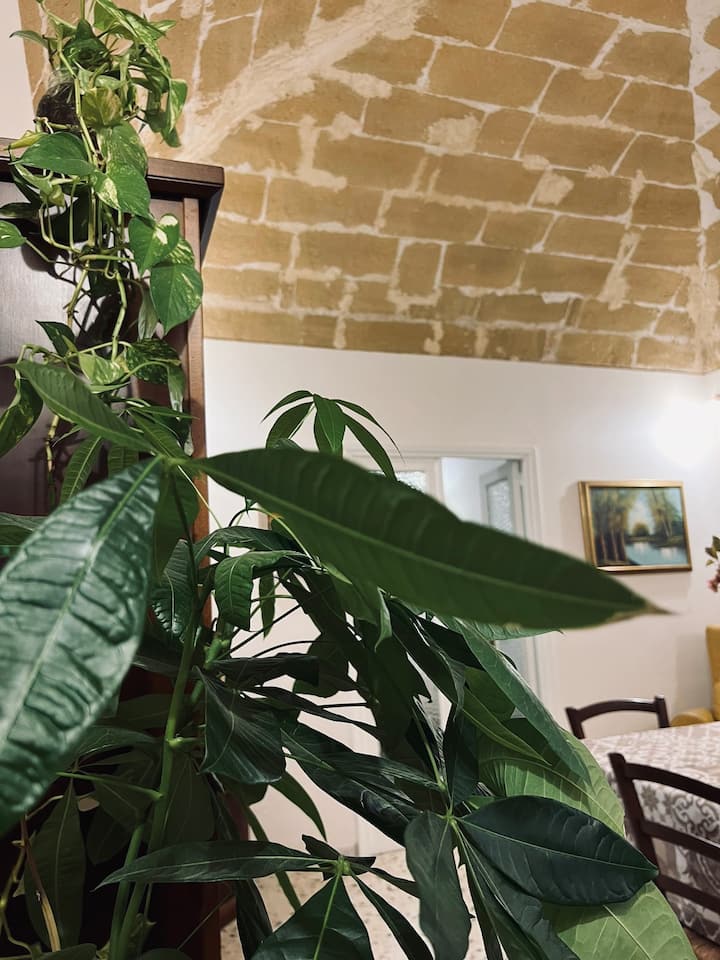 Giovanna Home - Marsala