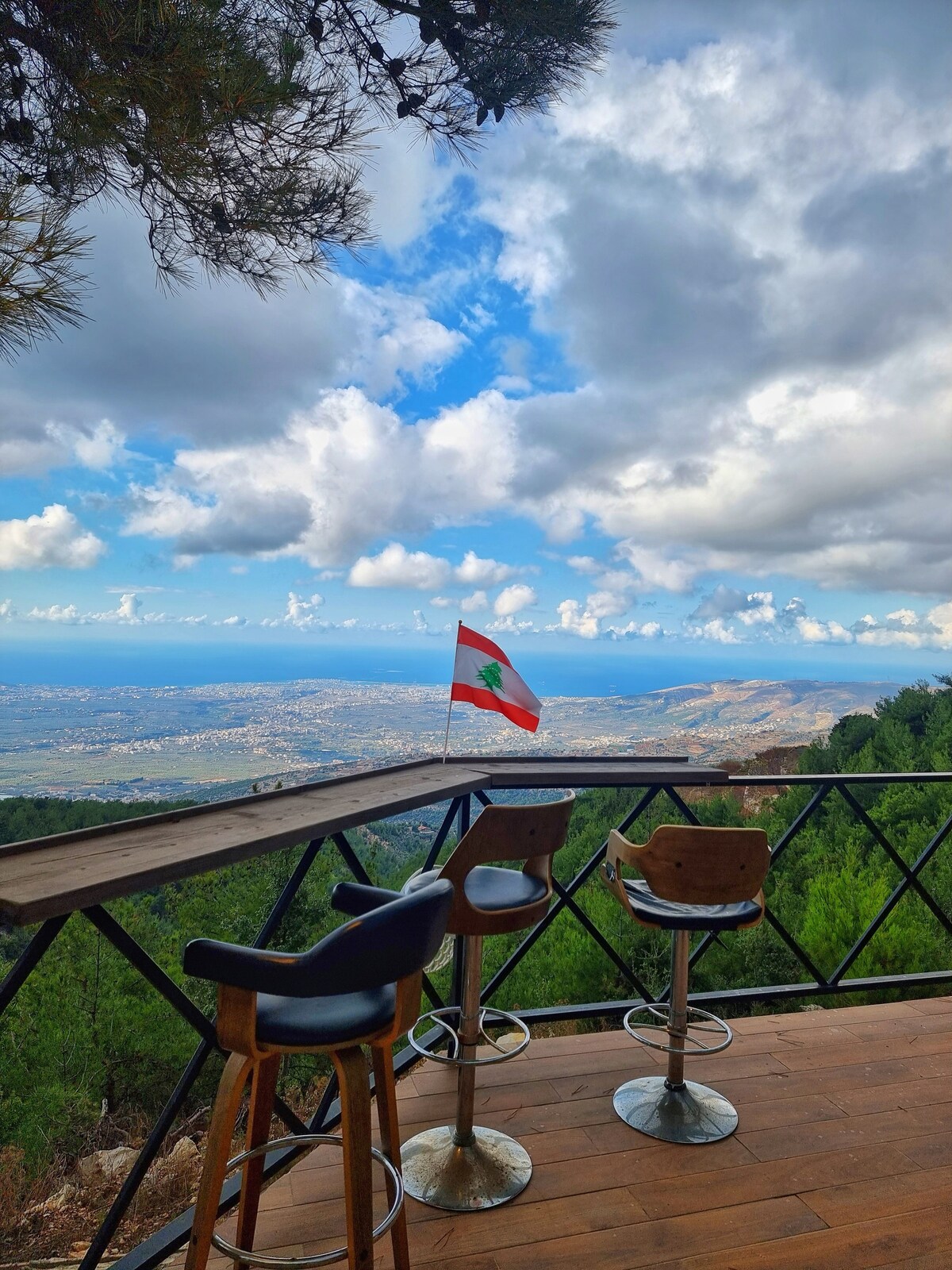 A luxurious bungalow in the heart of nature. - Cabins for Rent in ...
