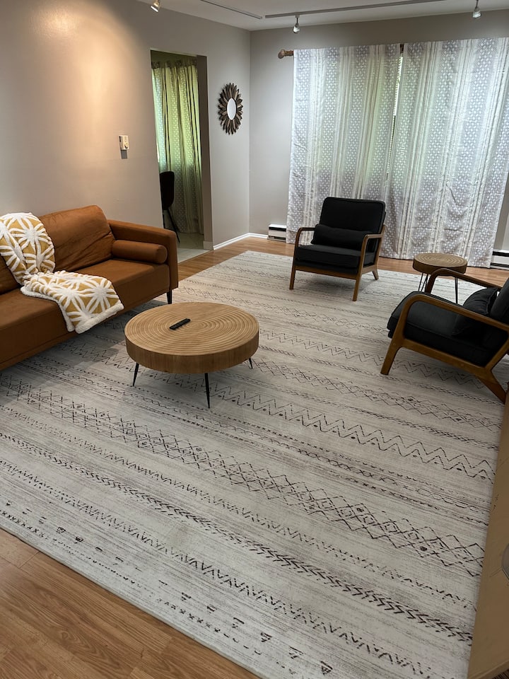 Awesome Apartment, Great Location! - Brookfield Zoo, Brookfield