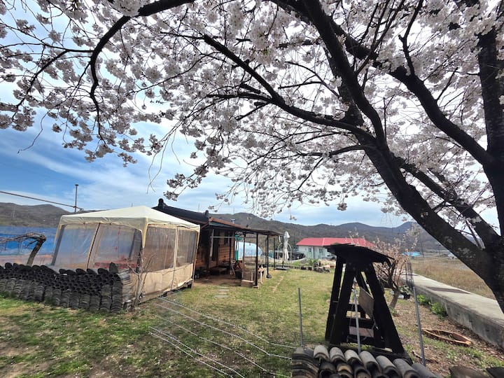 '세바의 오두막'
이색숙소/숲속의 오두막/단독파티오/바베큐파티/불멍/애견동반 - Pohang-si