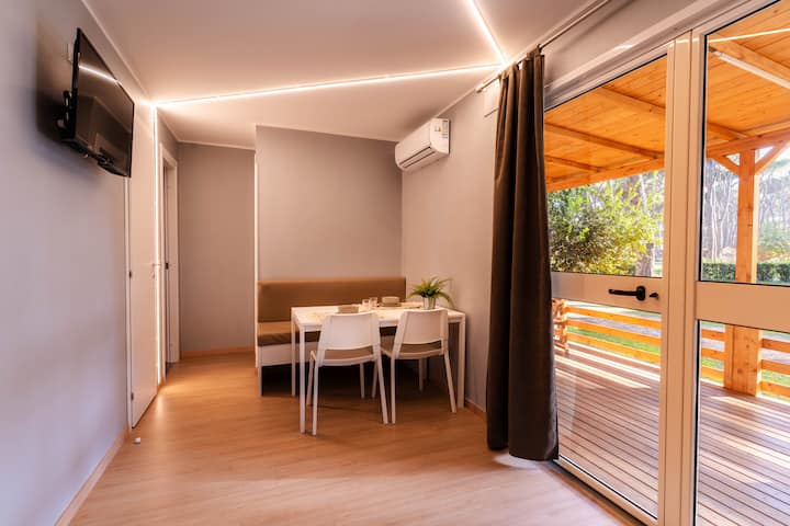 Family Plus - Nettuno