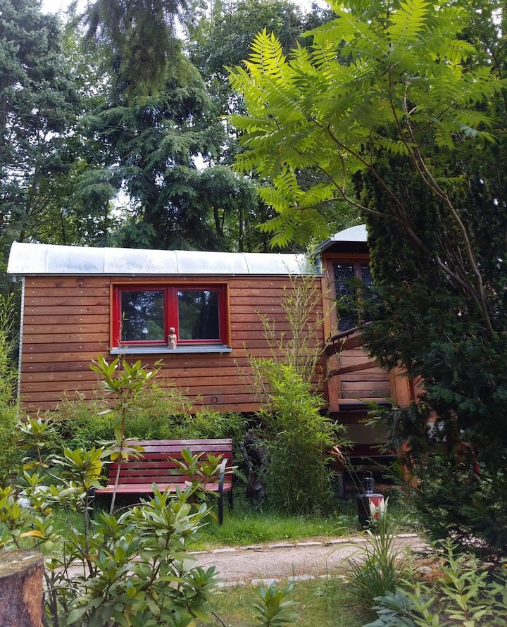 Zirkuswagen Im Wald - Quickborn
