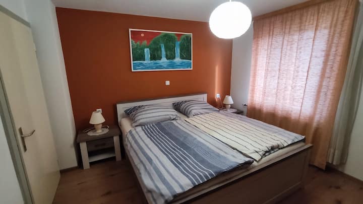Appartement 50m Carré Et Grand Jardin - Bregenz