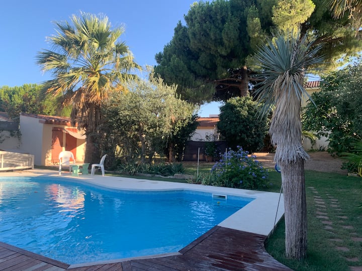 Studio Indépendant Ds Grand Parc - Marseillan