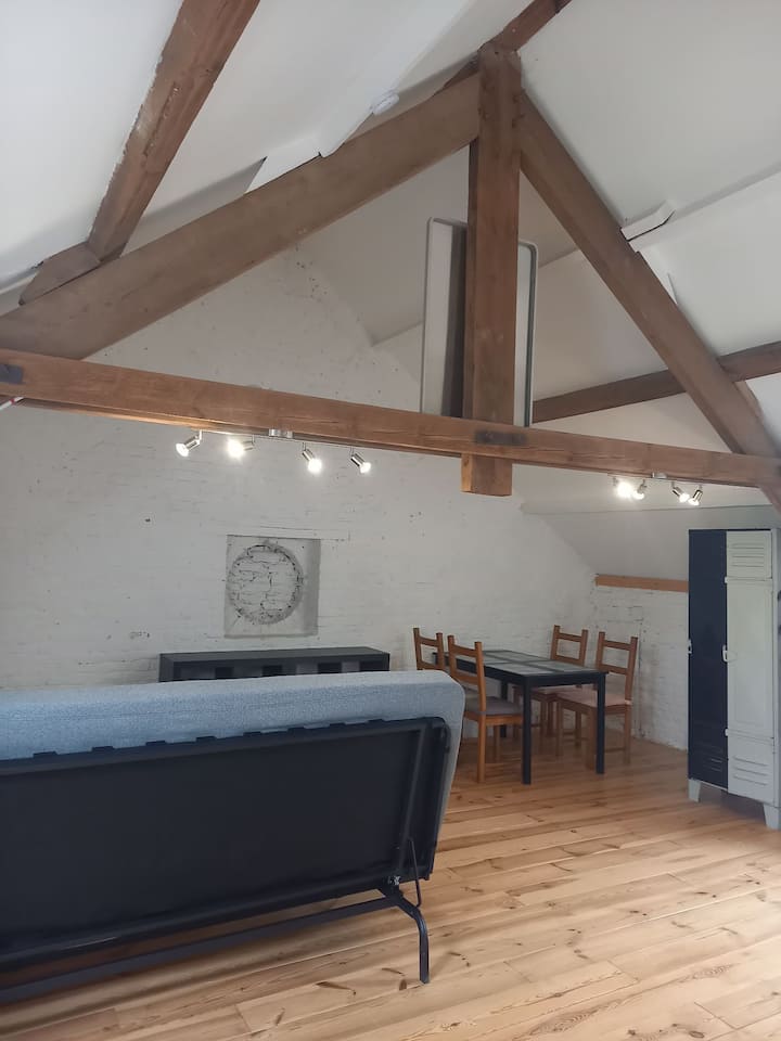 Appartement Dans Une Ancienne Gare - Ath