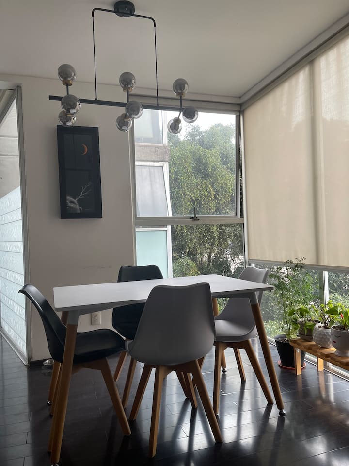 Cozy New Apartment In Mexico City - Ciudad de México