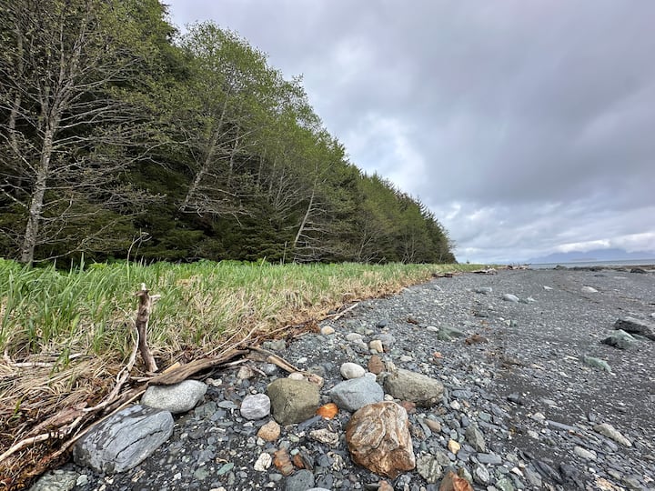 Shelter Island Cabin - Juneau, AK