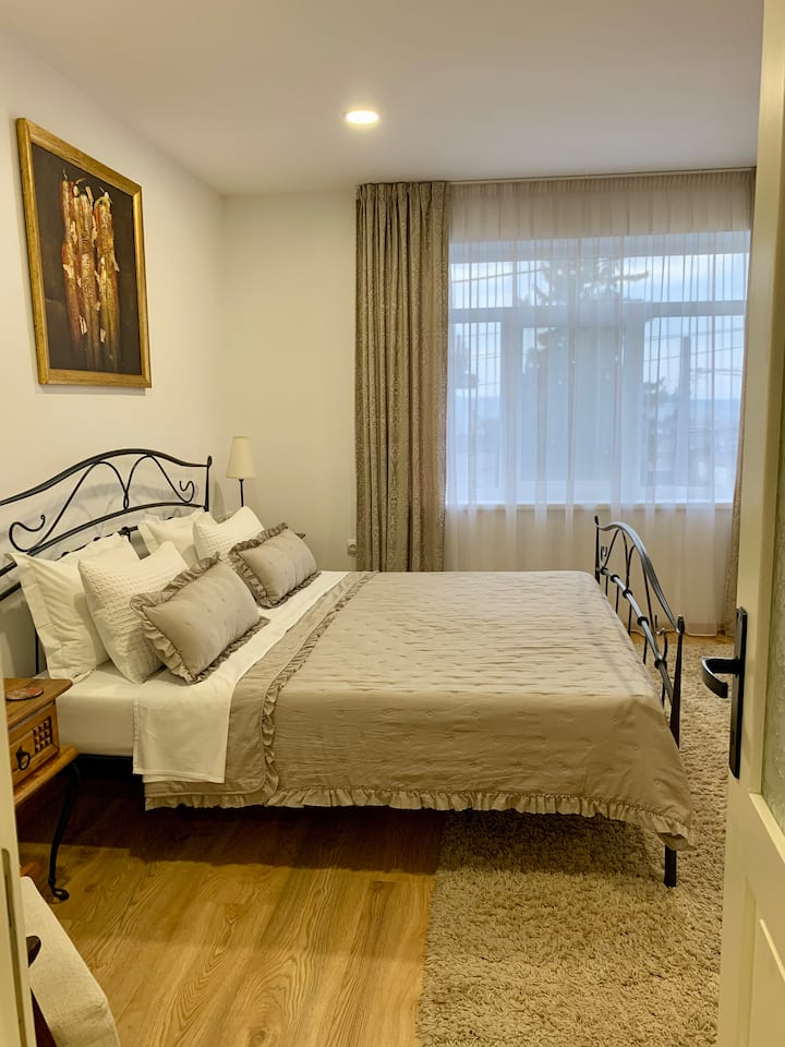 Dana House In Central Cluj - Cluj-Napoca