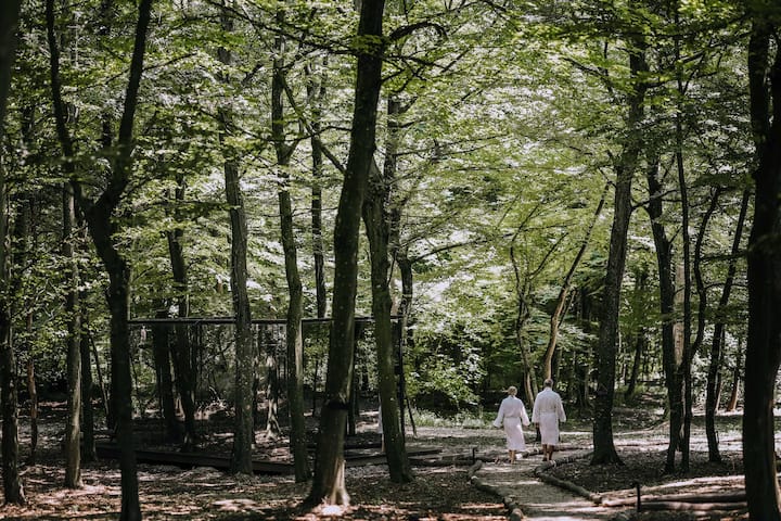 Forest Retreat - Terra - Vrbovec