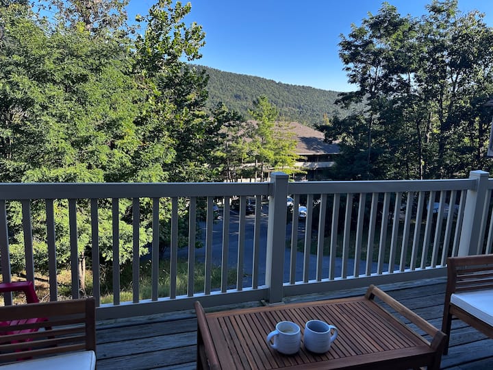 Massanutten Mountain Getaway - Massanutten, VA