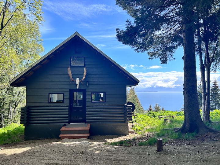 Private Home With A View. Newly Remodeled. - Homer, AK