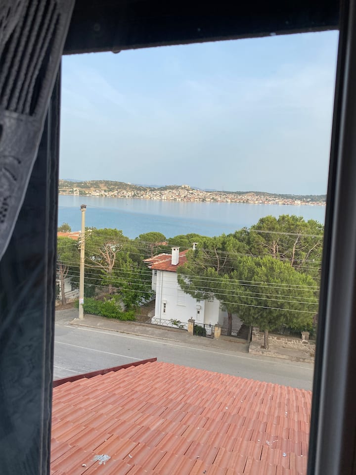 Cunda Adasında Deniz Daire - Ayvalık