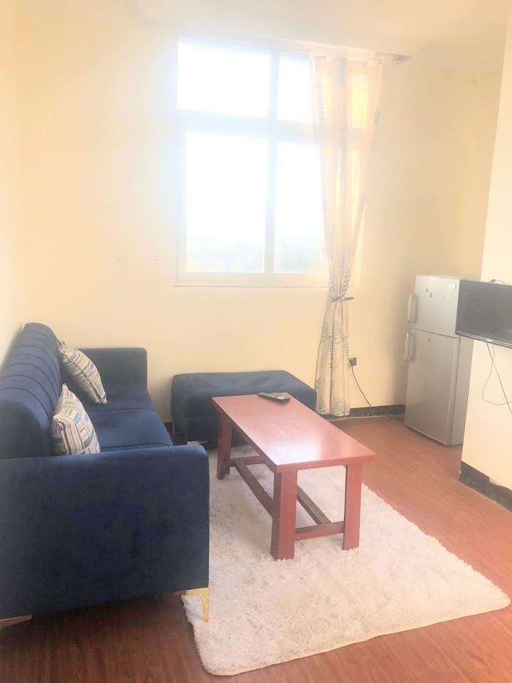 1 Bedroom Apartment In Addis Ababa - Addis Ababa