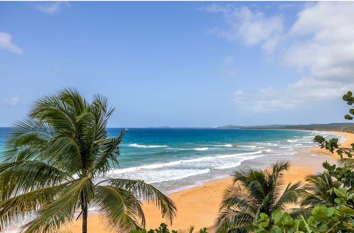 Modern Beachfront Condo +1pk +Wifi +Netflx +2queen - Puerto Rico