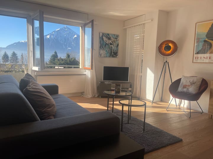 Chalet Wohnung Mit See & Bergsicht In Merligen - Sigriswil