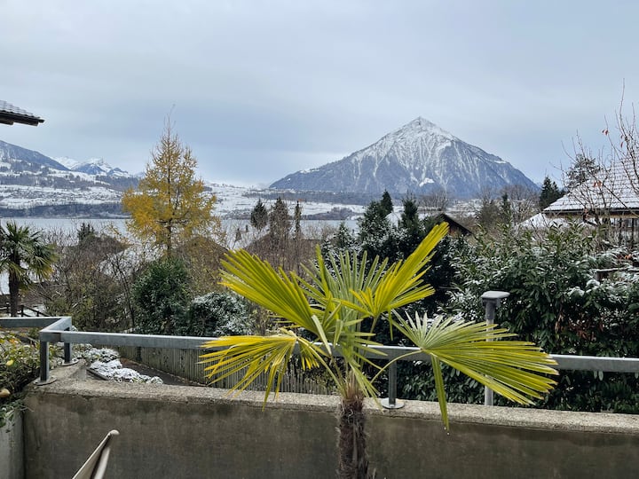 Chalet Wohnung Mit See & Bergsicht In Merligen - Merligen