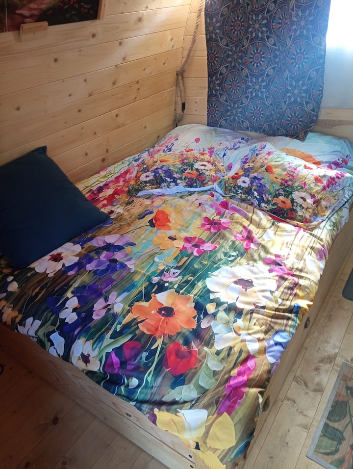 La Cabiottine 2 - Saint-Jean-de-Losne