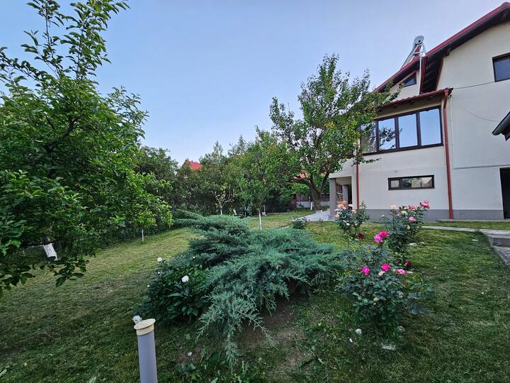 Casa Afrento - Chiojdu