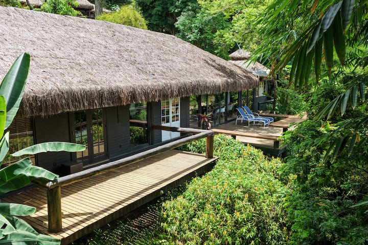 Rainforest Paradise - Rio de Janeiro