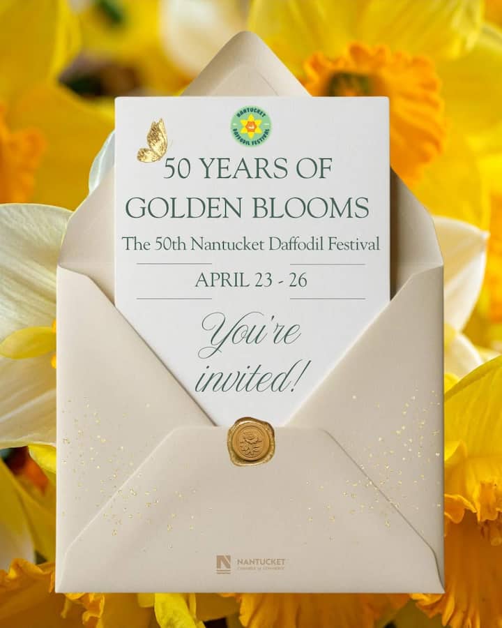 Pool! Large 4 Bedroom+bunk Room Mid-island! - Nantucket, MA