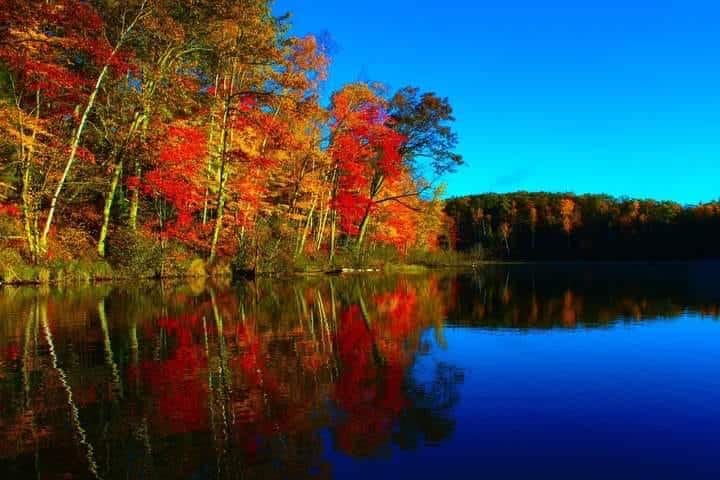 Little Bit O’ Heaven Cabin: Spring-summer Specials - Minocqua, WI