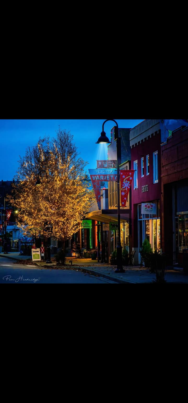 Historic Downtown Oak Harbor Beach Getaway#1 - Oak Harbor, WA