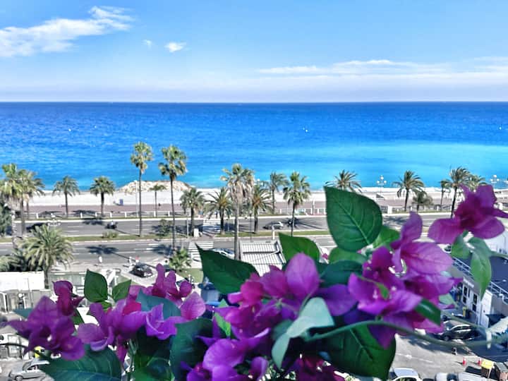 Vue Magnifique, 2 Pieces, Clim - Nice