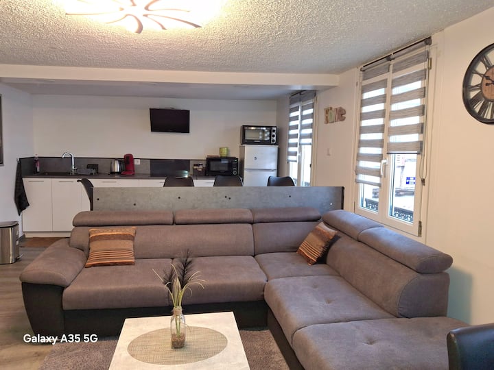 Appartement Charmant Centre Ville 5 Voyageurs - Alsace