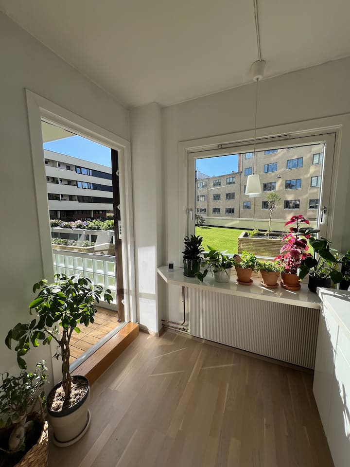Leilighet I Gamle Oslo - Oslo