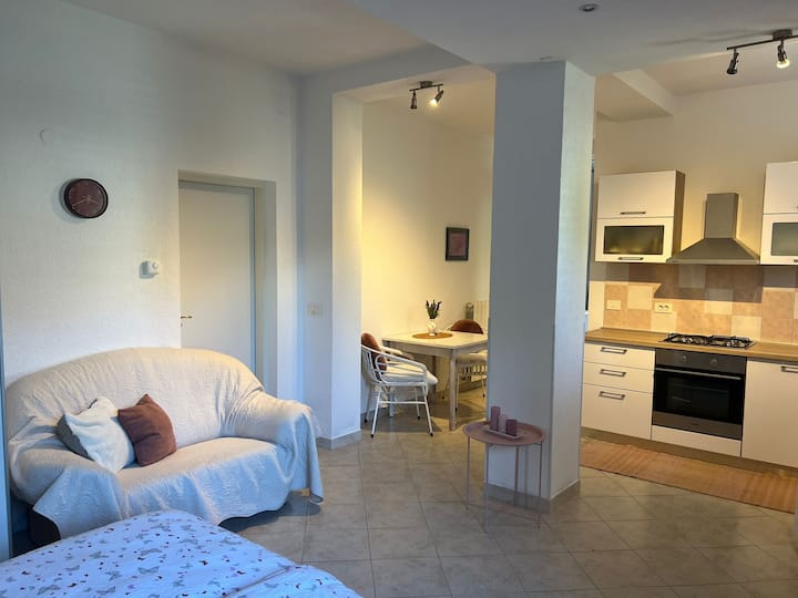 Apartment With A Terrace N1 - ロビニ