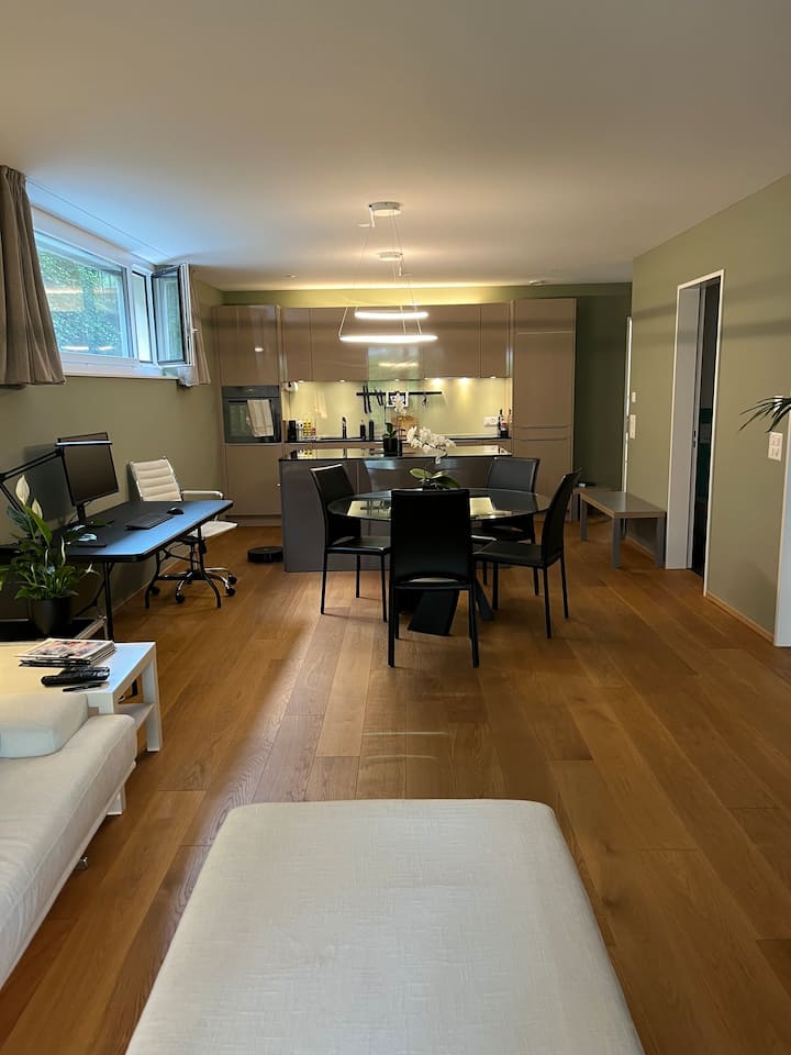 Comfortable Unter-sidhalden Apartment - Lucerne
