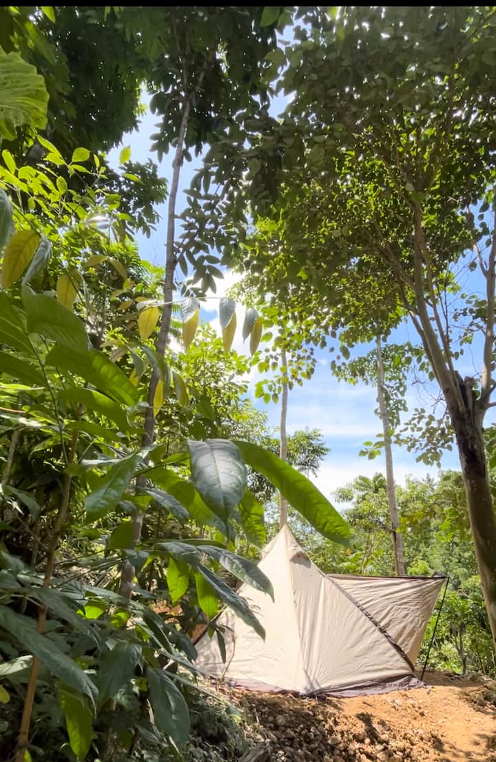 Affordable Glamping Experience - Sibonga