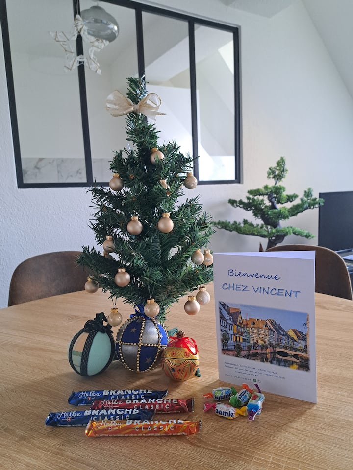 Appartement Centre Historique Avec Parking Privé - Colmar