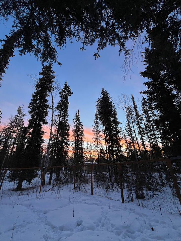 Wolf Creek Suite - Cozy Country Residential Apt - Yukon