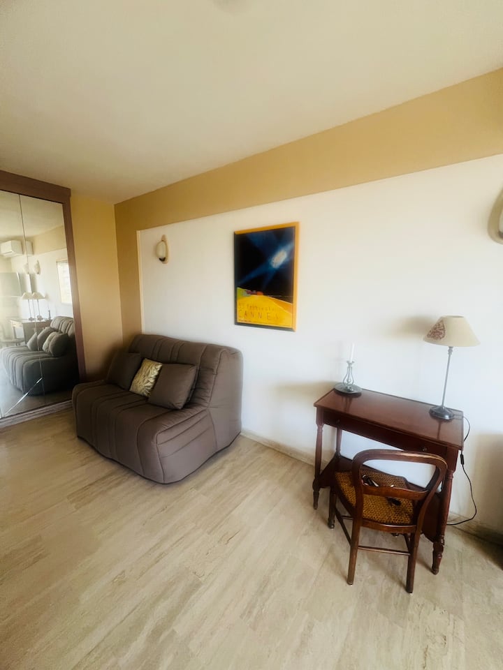 Grand Studio Entrée De Cannes - Cannes