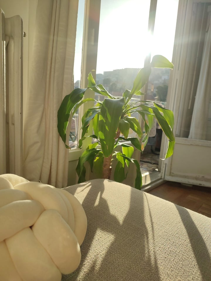 F1 Lumineux Plein Sud Et Balcon Au Coeur De Nice - Nice