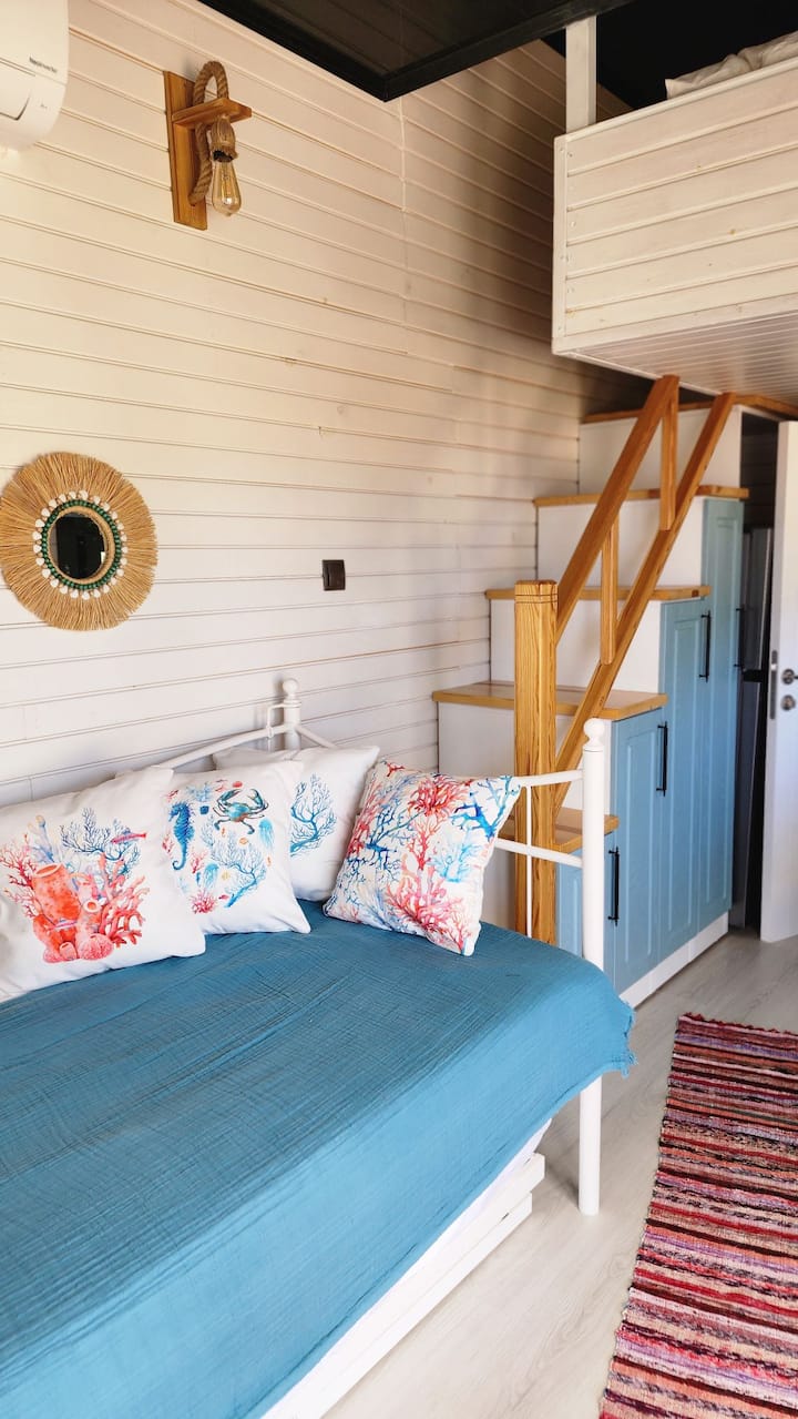 Mavi 1 Dünya Tiny House - Dünya - Datça