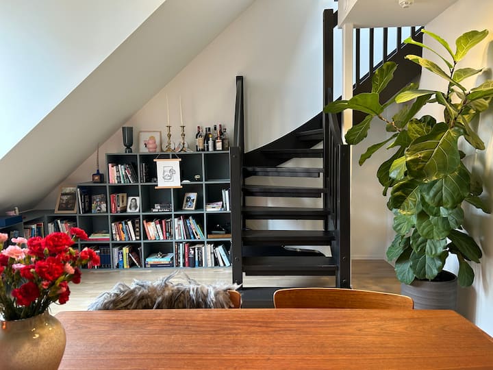 Spacious Apartment With 2 Floors In Central Oslo - Oslo