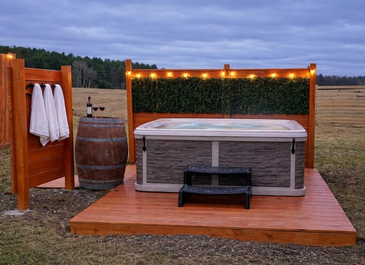 Cozy Cabin Hot Tub Wineries Sunset Views 1 - Finger Lakes, NY
