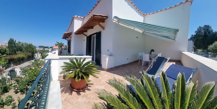 Casa Vacanze "La Signorina " - イスキア